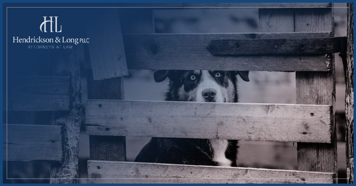 Are Dog Breed Bans Effective at Reducing Attacks? - Hendrickson & Long PLLC